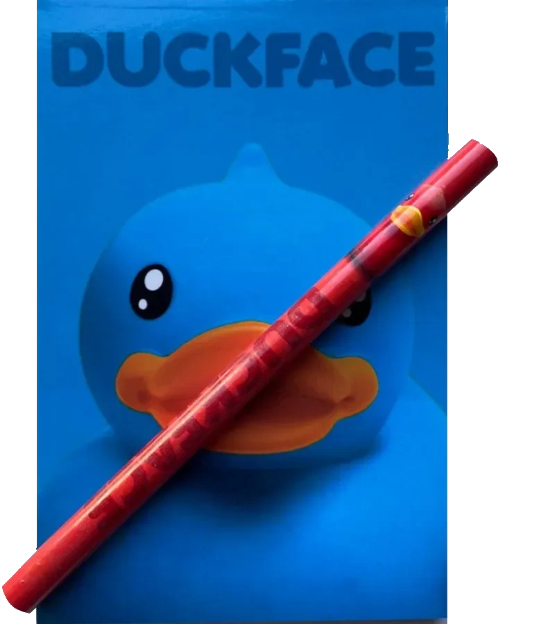 Duckface Notitieboekje - Blauw - debadeend.nl